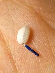 Artist Yukari Ehara Creates The Cutest Award-Winning Microart Ever