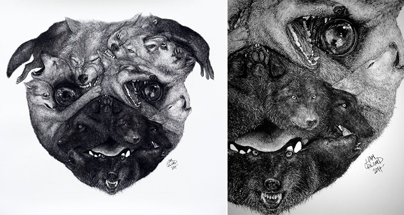 Artist Liam Gerrard Draws Animal Portraits Consisting Of Smaller Animals