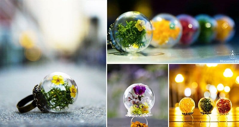 Wear A Beautiful Tiny Oasis Wherever You Go With This Cute Nature ...