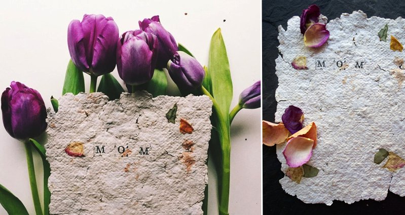 Learn How To Make Your Own Plantable Paper