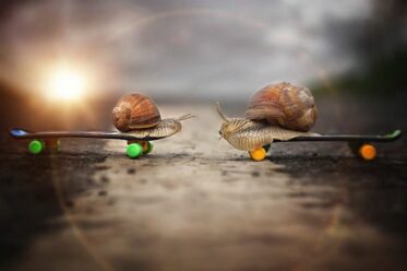 Photographer Gabi Stickler Shows Us The Beauty In Snails