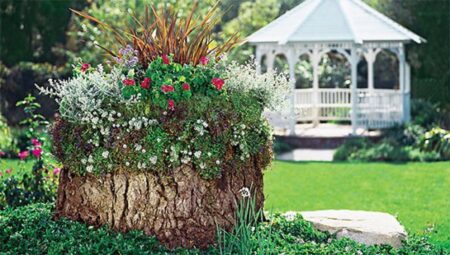 14 Tree Stumps Turned Into Gorgeous Planters - Part 2