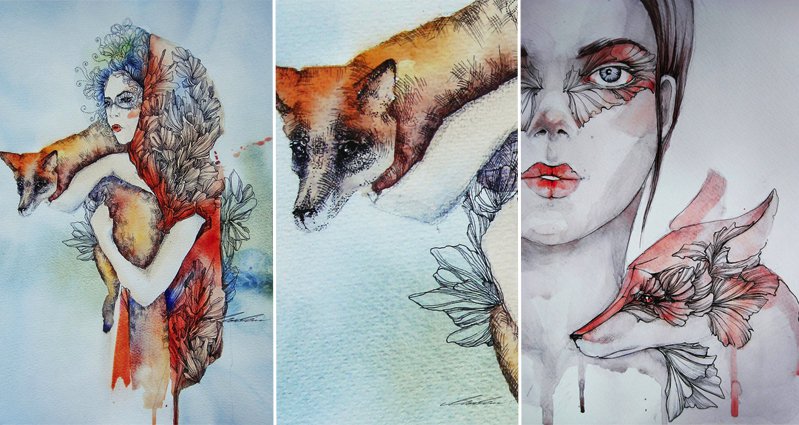 Beautiful Fox Drawing