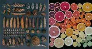 Emily Blincoe Arranges These Everyday Objects Into The Most Satisfying Patterns