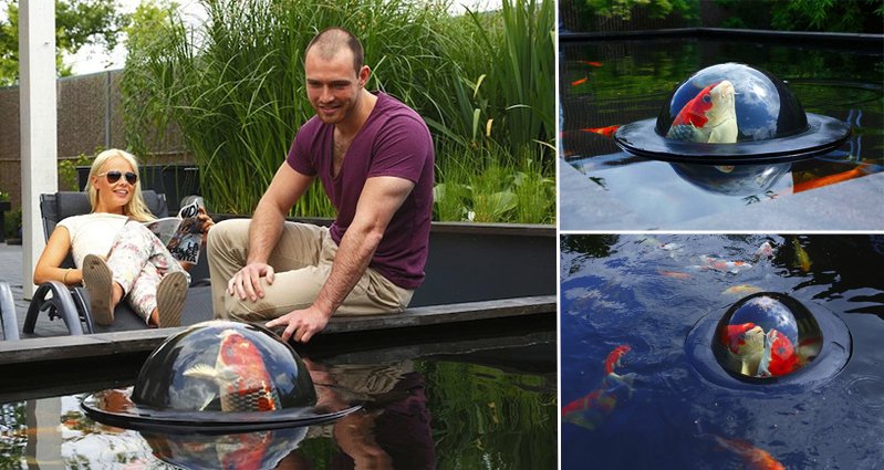 Floating Dome Lets Koi Fish Look At The Outside World