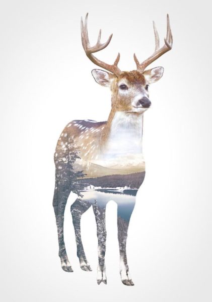 These Awesome Animal Portraits With Landscapes Contained Within Them ...