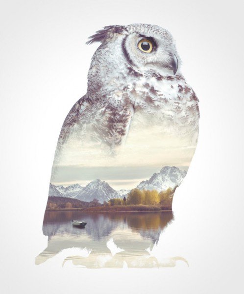 These Awesome Animal Portraits With Landscapes Contained Within Them ...