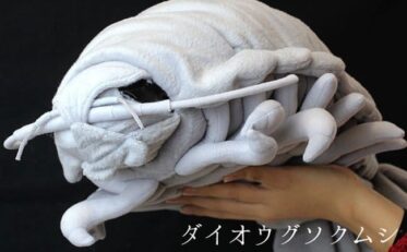 These Adorable Yet Strange Isopod Plushies Will Melt Your Heart