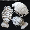These Adorable Yet Strange Isopod Plushies Will Melt Your Heart