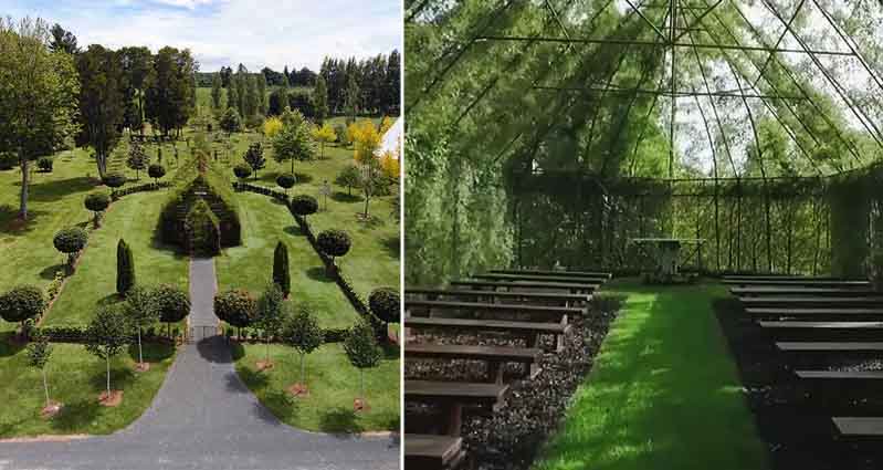 Brian Cox Took Four Years To Grow This Incredible Church From Trees