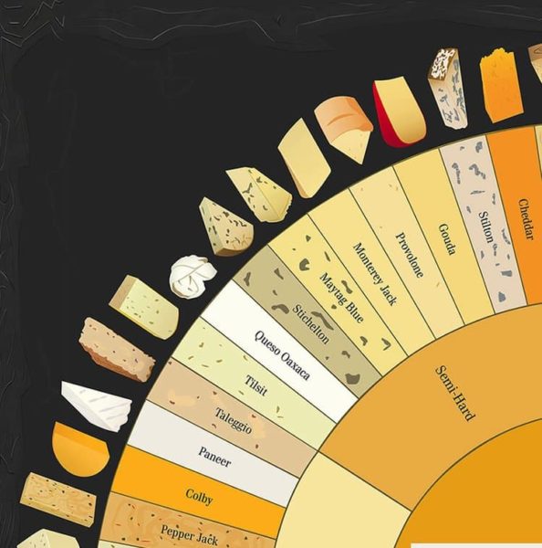 Cheeselovers Will Delight In This Wondrous Giant Cheese Chart