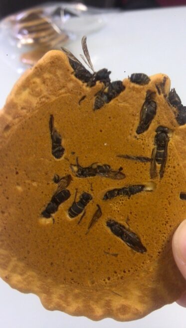 Would You Dare To Eat These Japanese Wasp-Filled Crackers Like This Guy?