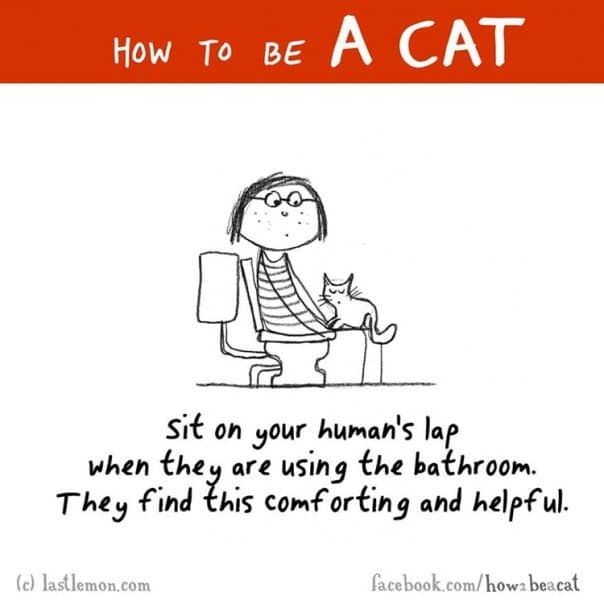 These Adorable Illustrations Show You How To Be A Cat