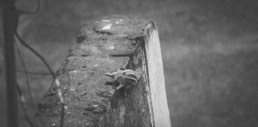 This 15-Year-Old Photographer Looks At The World In A Beautiful Way