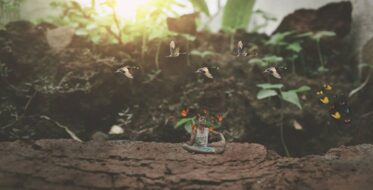 This 15-Year-Old Photographer Looks At The World In A Beautiful Way