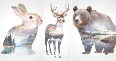 These Awesome Animal Portraits With Landscapes Contained Within Them ...