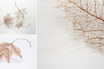 20 Brilliant test answers given by kids. Some of these are genius! - Part 2