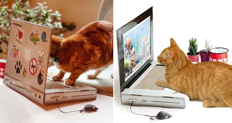 Every Computer-Loving Cat Owner Will Want This Laptop Scratching Post ...