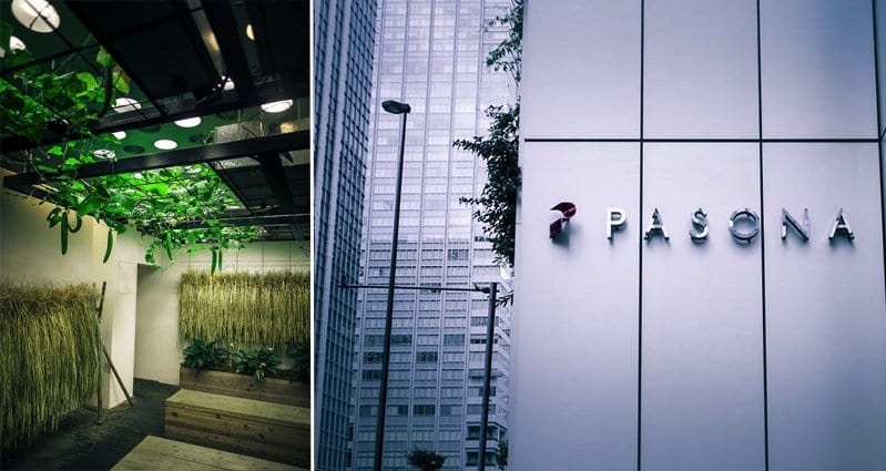 See This Urban Farm Hidden Within A Toyko Office Block