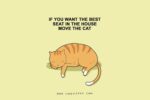 15 Illustrated Truths About Cats