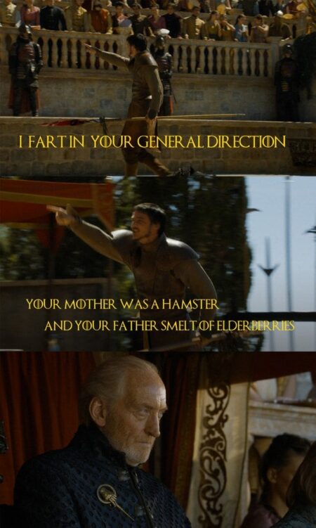 18 Times 'Game Of Thrones' Was Improved By 'Monty Python' Quotes