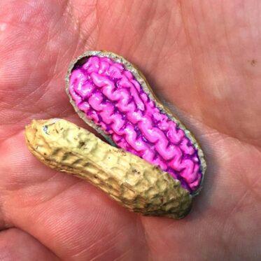 Amazing Peanut Shell Art By Steve Casino