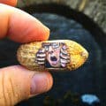 Amazing Peanut Shell Art By Steve Casino