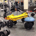 12 Hilarious Gym Fails That Will Have You Laughing Into Next Week