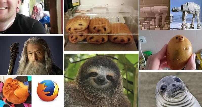 15 Things Or People That Look Similar To Other Stuff