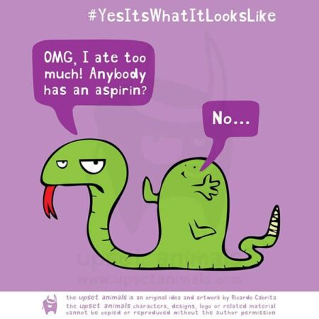 13 Upset Animals Airing Their Problems Through Hilarious Illustrations