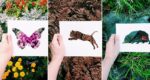 Nikolai Tolstyh's Paper Silhouettes Are Colored By Nature
