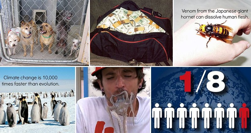 These 17 Totally True Facts Will Shock You