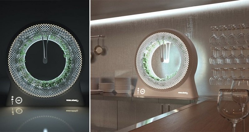 The Designers Of This Amazing Rotary Garden Took Their Inspiration From ...