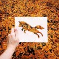 Nikolai Tolstyh's Paper Silhouettes Are Colored By Nature
