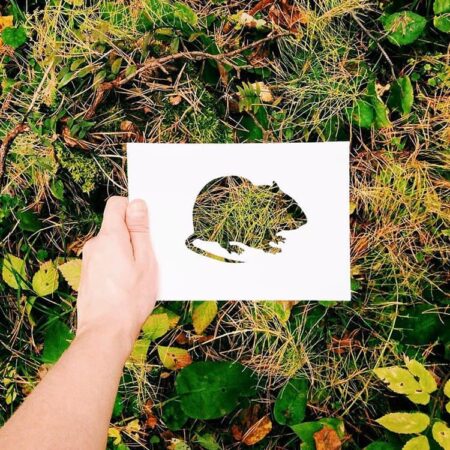 Nikolai Tolstyh's Paper Silhouettes Are Colored By Nature