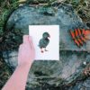 Nikolai Tolstyh's Paper Silhouettes Are Colored By Nature