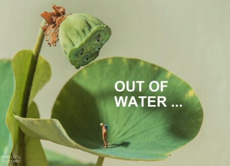 These Surreal Images Of Miniature People Will Make You Laugh