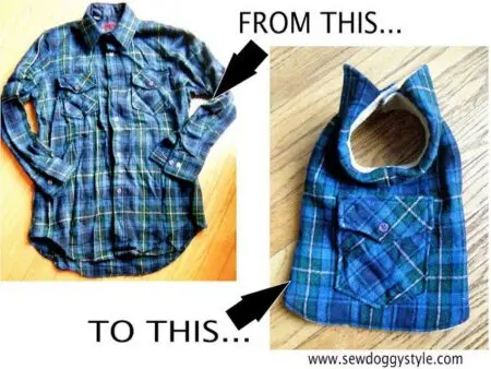 16 Awesome DIY Dog Accessory Ideas You And Your Pooch Will Love