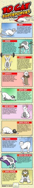 10 Cool Superpowers That Your Cat Probably Has