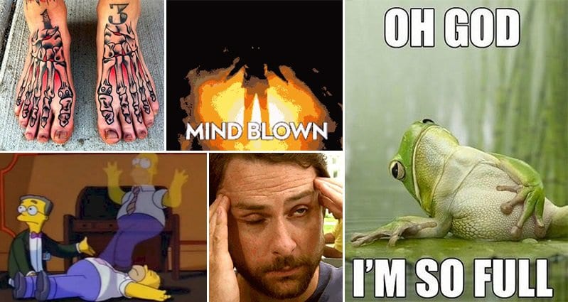 15 Incredible Facts You Probably Didn't Know