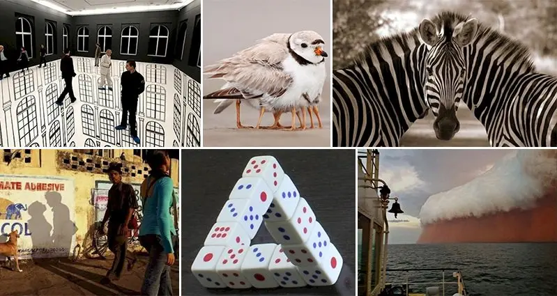 18 Photographs You Won't Believe Are Not Photoshopped