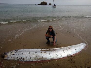 15 Cool Things People Found On Beaches