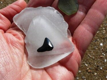 15 Cool Things People Found On Beaches
