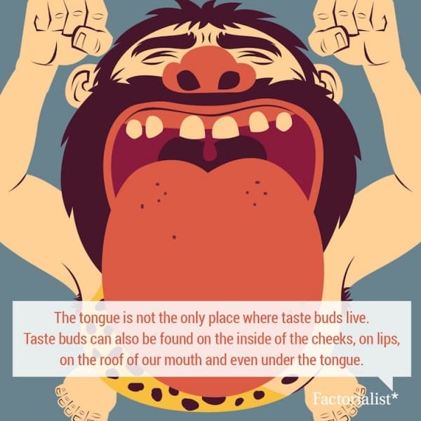 10 Surprising And Interesting Facts About Taste Buds Around The World