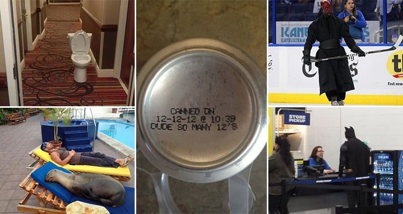 11 Bizarre Photos That Will Leave You Baffled