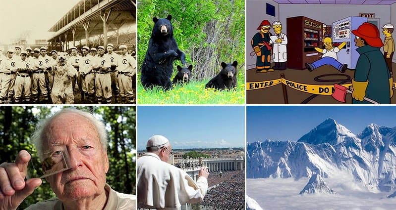 12 Hard-To-Believe Facts Which Are Actually True