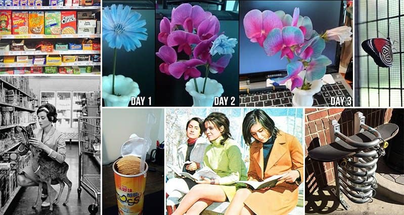 17 Random And Pretty Awesome Images From Around The Internet