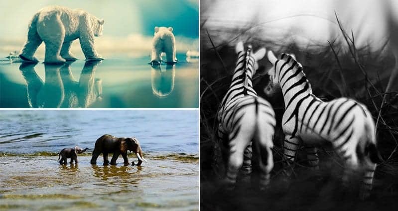 These Toy Animals Have Been Made To Look Real To Raise Awareness Of ...