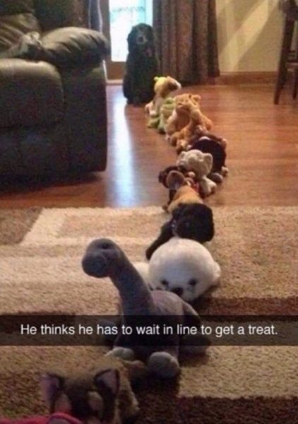 14 Hilarious Pictures That Will Make You Laugh Out Loud