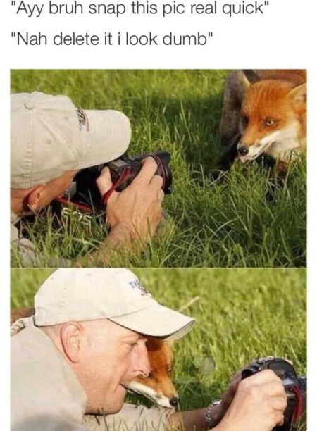 14 Hilarious Pictures That Will Make You Laugh Out Loud